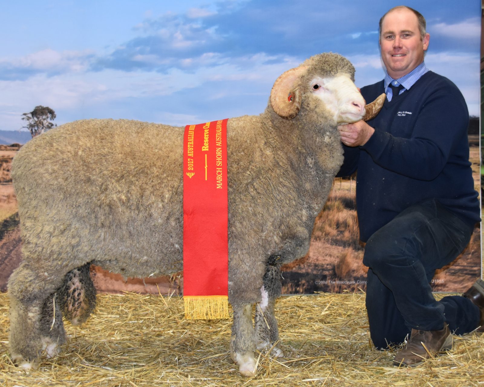 Australian Sheep & Wool Show, Bendigo, 14-16 July 2017 – AFA ...