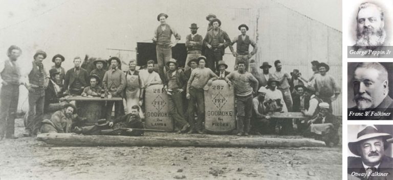 History – AFA | Australian Food & Agriculture